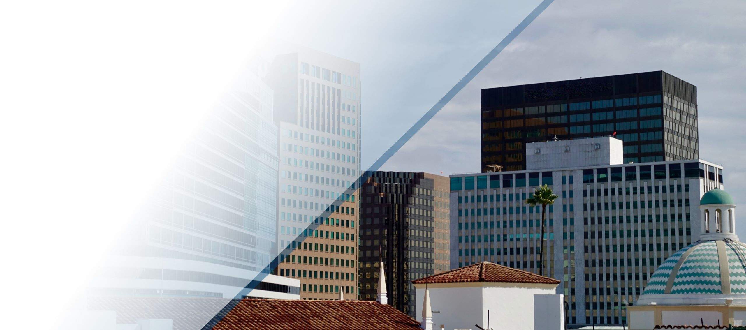 NKSFB, LLC | America’s #1 Business Management Firm