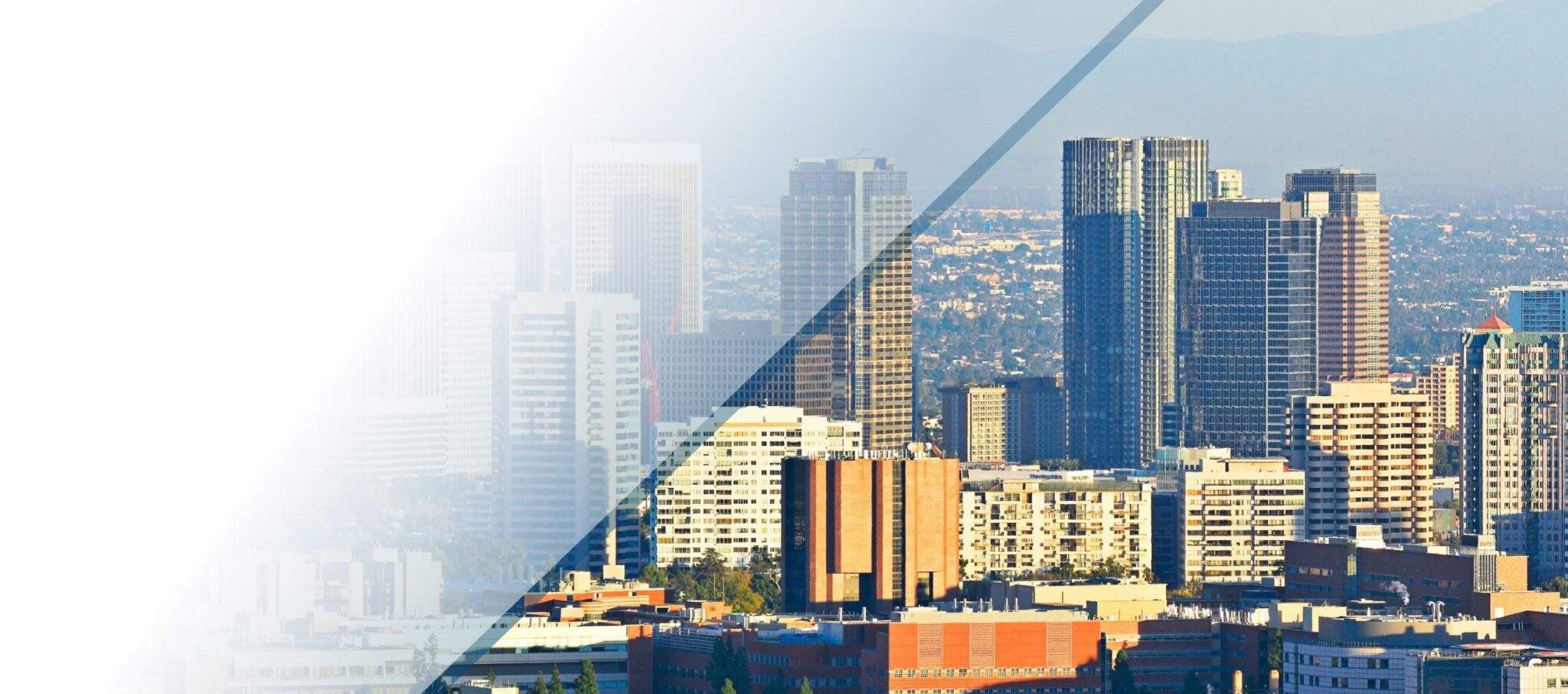 NKSFB, LLC | America’s #1 Business Management Firm